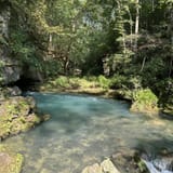 Greer Spring Trail, Missouri - 338 Reviews, Map | AllTrails