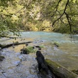 Greer Spring Trail, Missouri - 338 Reviews, Map | AllTrails