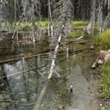 Karst Spring Trail, Alberta, Canada - 1,006 Reviews, Map | AllTrails