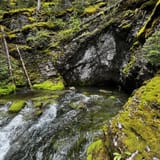 Karst Spring Trail, Alberta, Canada - 1,006 Reviews, Map | AllTrails