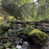 Hidden Falls Nature Park Trail, Oregon - 541 Reviews, Map | AllTrails