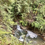 Hidden Falls Nature Park Trail, Oregon - 537 Reviews, Map | AllTrails