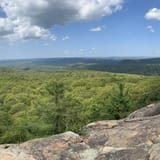 Reeves Brook Loop Trail, New York - 4,951 Reviews, Map | AllTrails