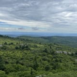 Wilburn Ridge via Appalachian Trail, Virginia - 2,204 Reviews, Map ...