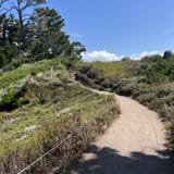 Point Lobos Loop, California - 9,066 Reviews, Map | AllTrails