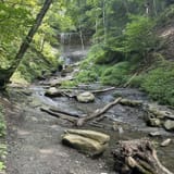 Tinker Falls Upper, New York - 556 Reviews, Map | AllTrails