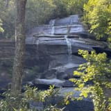 Daniel Ridge Loop, North Carolina - 2,114 Reviews, Map | AllTrails