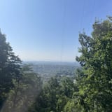 Sharps Ridge Loop Trail, Tennessee - 940 Reviews, Map | AllTrails