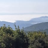 Massie Gap and Wilburn Ridge Loop [CLOSED], Virginia - 1,021 Reviews ...