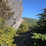 Massie Gap and Wilburn Ridge Loop, Virginia - 1,053 Reviews, Map ...