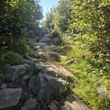 Massie Gap and Wilburn Ridge Loop, Virginia - 1,053 Reviews, Map ...