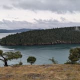 Washington Park Loop Road, Washington - 1,828 Reviews, Map | AllTrails