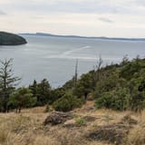 Washington Park Loop Road, Washington - 1,881 Reviews, Map | AllTrails