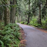 Washington Park Loop Road, Washington - 1,798 Reviews, Map | AllTrails