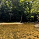 Fonta Flora Trail Loop, North Carolina - 1,781 Reviews, Map | AllTrails