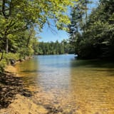 Fonta Flora Trail Loop, North Carolina - 1,781 Reviews, Map | AllTrails