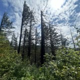 Angel's Rest, Oregon - 8,872 Reviews, Map | AllTrails