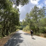 Round Top, Volcanic and Skyline Loop, California - 3,011 Reviews, Map ...