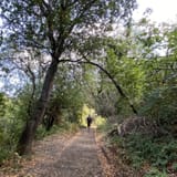 Round Top, Volcanic and Skyline Loop, California - 2,946 Reviews, Map ...