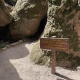 Moses Spring and Rim Trail Loop, California - 2,798 Reviews, Map ...