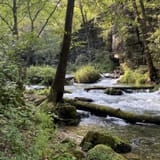 Greer Spring Trail, Missouri - 338 Reviews, Map | AllTrails