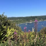 Trinidad Head/Tsurai Loop, California - 1,320 Reviews, Map | AllTrails