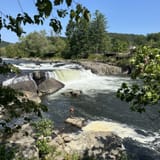 Ferncliff Trail, Pennsylvania - 1,594 Reviews, Map | AllTrails