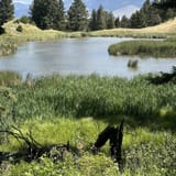 Beaver Ponds Loop Trail, Montana - 1,546 Reviews, Map | AllTrails