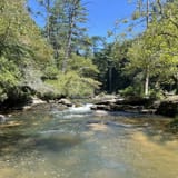 Cartecay River Loop Trail, Georgia - 2,168 Reviews, Map | AllTrails