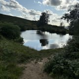 Nicky Nook Circular, Lancashire, England - 1,236 Reviews, Map | AllTrails