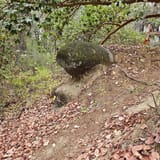 Dave Moore Nature Trail, California - 391 Reviews, Map | AllTrails