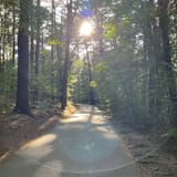 Breakheart Reservation Loop, Massachusetts - 1,037 Reviews, Map | AllTrails