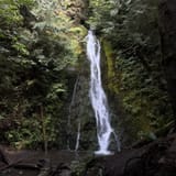 Madison Falls Trail, Washington - 2,007 Reviews, Map | AllTrails