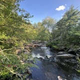 Wildcat Falls, New Hampshire - 2,266 Reviews, Map | AllTrails