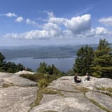 Buck Mountain Trail, New York - 3,462 Reviews, Map | AllTrails