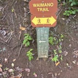 Lower and Upper Waimano Loop, Oahu, Hawaii - 2,526 Reviews, Map | AllTrails