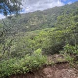 Lower and Upper Waimano Loop, Oahu, Hawaii - 2,526 Reviews, Map | AllTrails