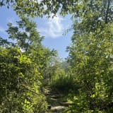 Virginia's Triple Crown Loop, Virginia - 712 Reviews, Map | AllTrails