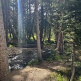 Fraser River Trail, Colorado - 543 Reviews, Map | AllTrails