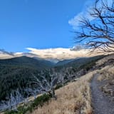 Dry Pond Loop, Nevada - 1,645 Reviews, Map | AllTrails