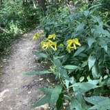 Salt Run, Ohio - 1,515 Reviews, Map | AllTrails