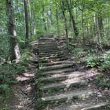 Salt Run, Ohio - 1,515 Reviews, Map | AllTrails