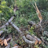 Salt Run, Ohio - 1,515 Reviews, Map | AllTrails