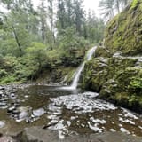 Little Mashel Falls Trail via Bud Blancher Trail, Washington - 4,367 ...