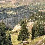 Mount Chapin, Chiquita, and Ypsilon Mountain via Chapin Pass Trail ...
