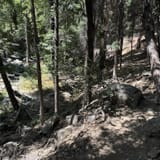 Heart Rock Trail, California - 3,491 Reviews, Map | AllTrails