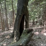 Haystack Mountain Trail, Maine - 289 Reviews, Map | AllTrails