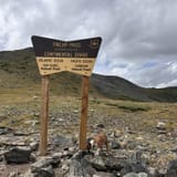 Tincup Pass OHV Route, Colorado - 122 Reviews, Map | AllTrails