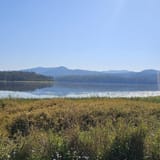 Lake Manchester Loop Walk, Queensland, Australia - 206 Reviews, Map ...