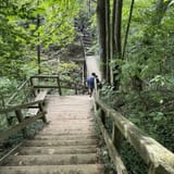 Difficult Run Trail, Virginia - 730 Reviews, Map | AllTrails
